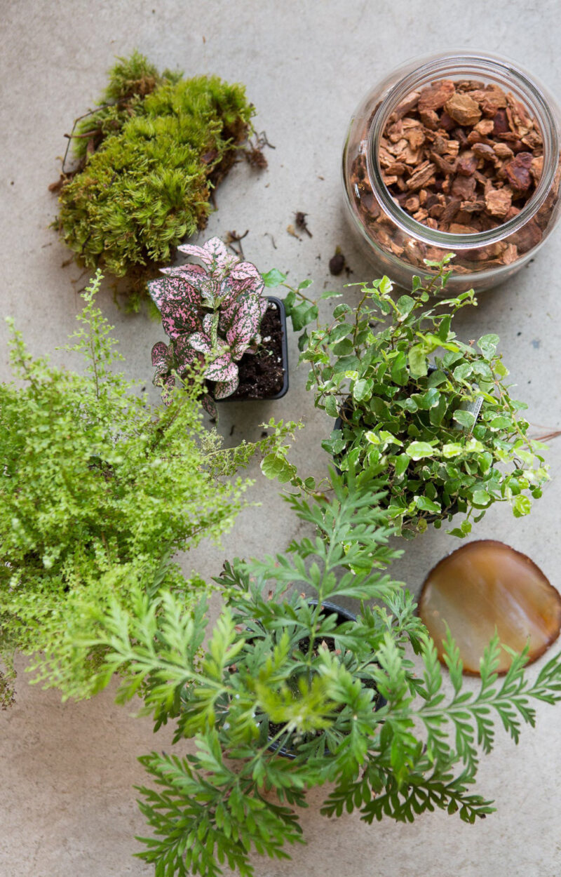 12 Spring Decorating Ideas for an Instant Refresh