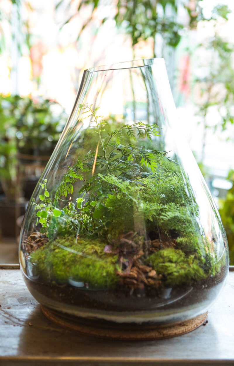 12 Spring Decorating Ideas for an Instant Refresh