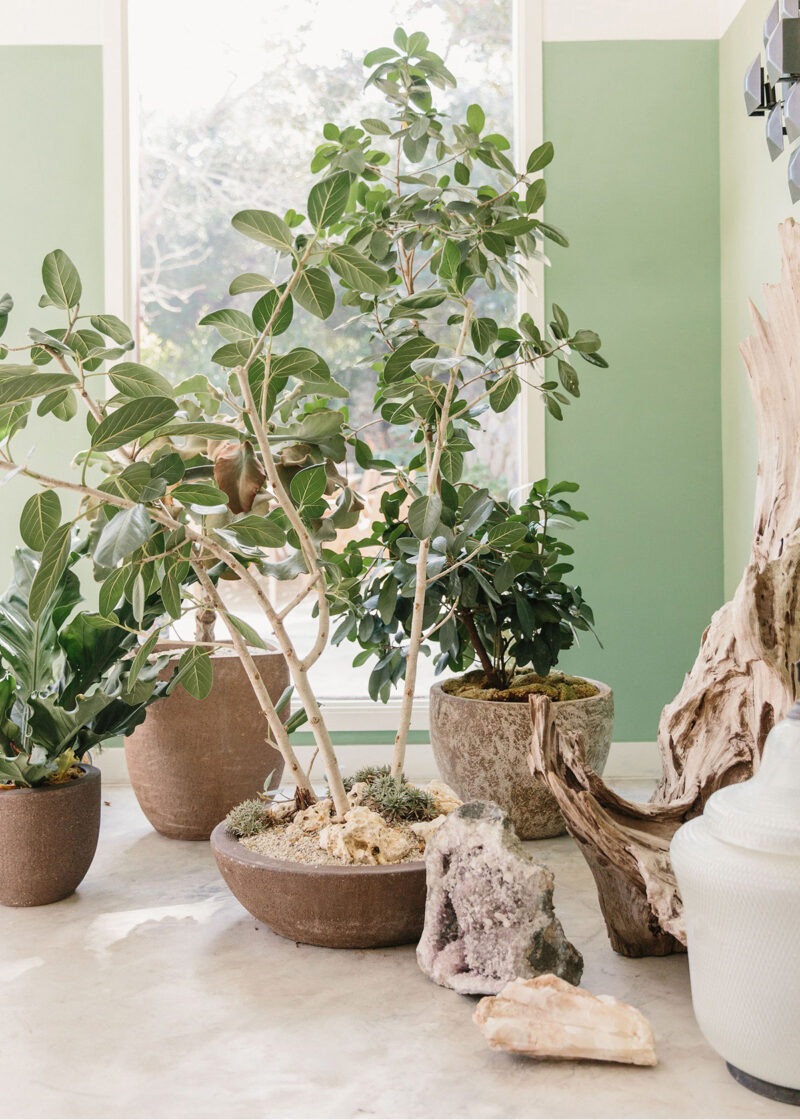 Urban Earthy Interiors With Natural & Organic Design